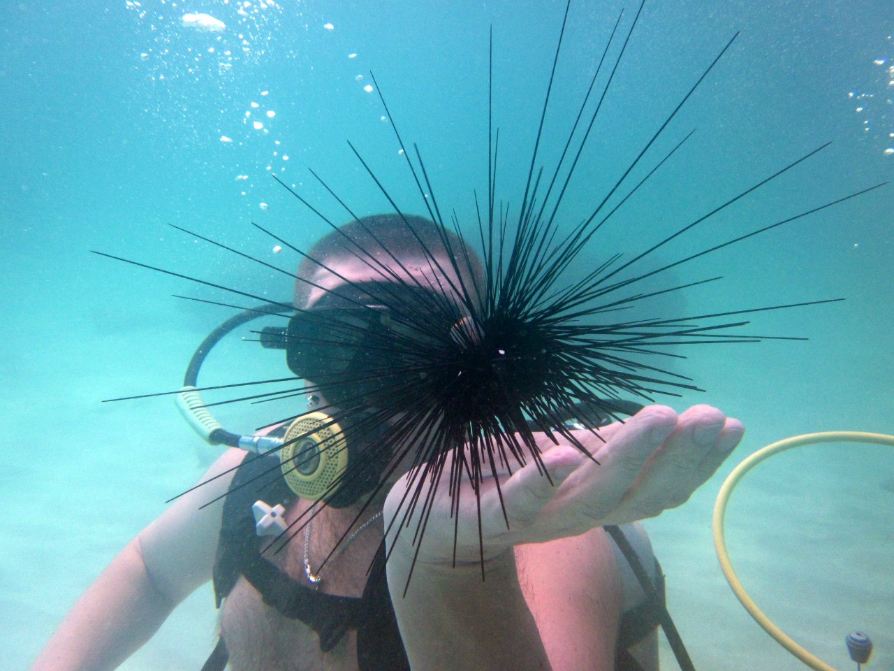 Паттайя Таиланд Дайвинг возле острова ко Рин