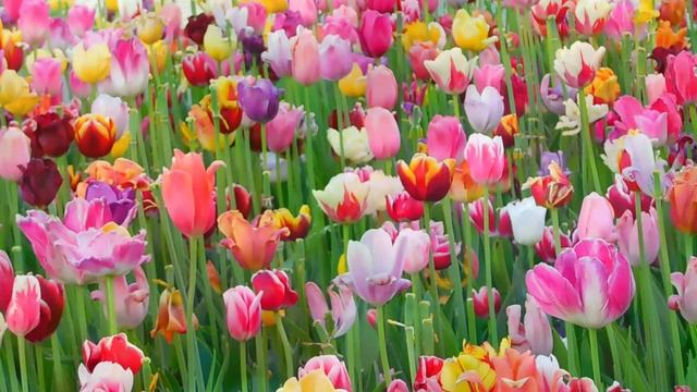 «Люблино». Зарисовка.