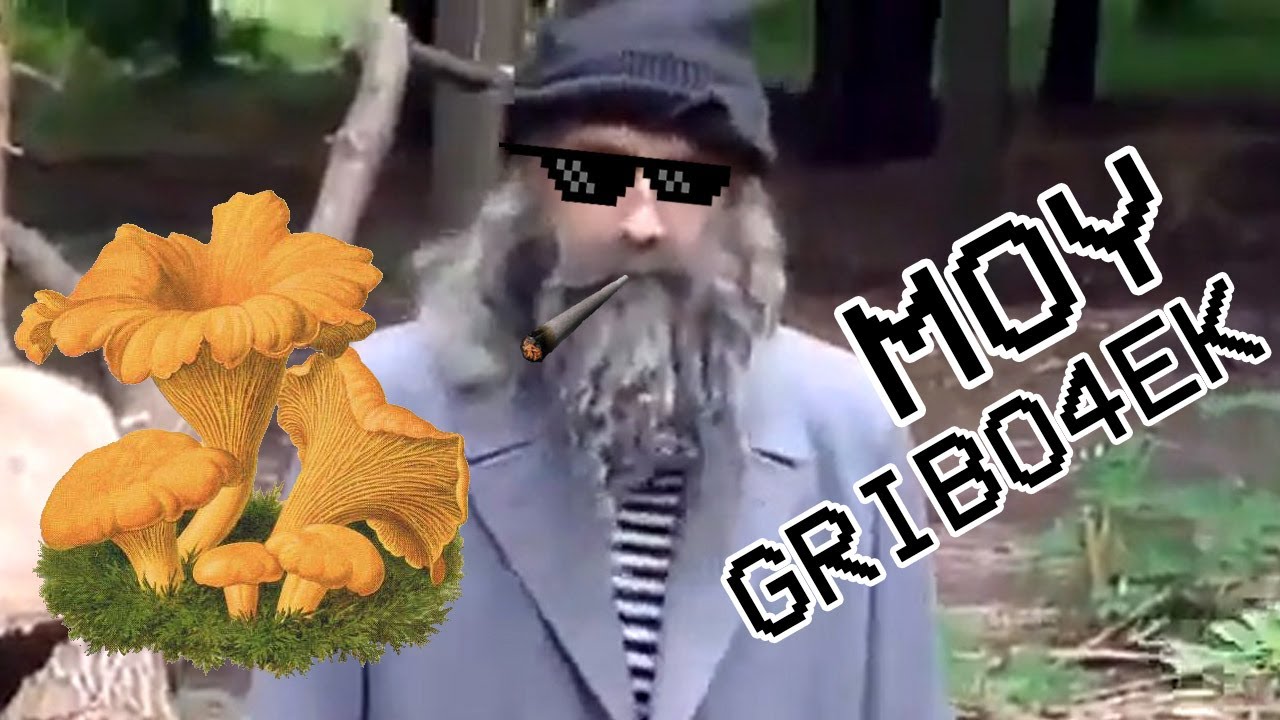 Никогда не ешь этот гриб!