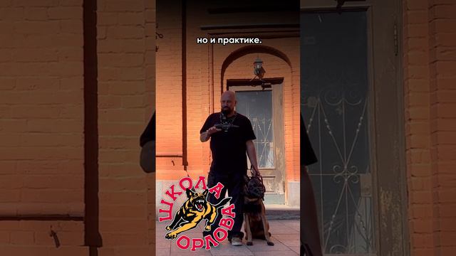 Как попасть в "Школу Орлова" тем, кто далеко живет?