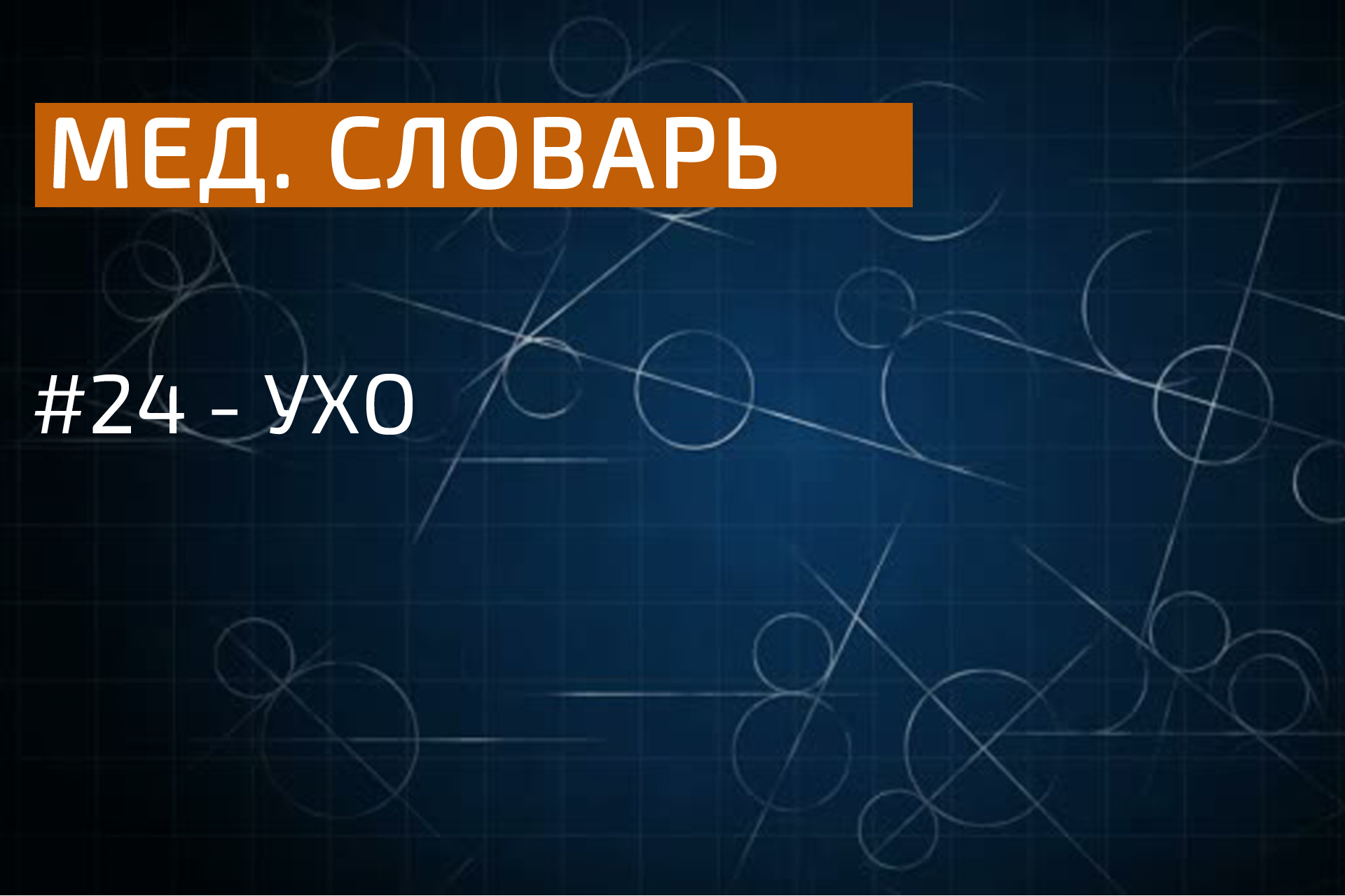 Медицинский словарь: ухо