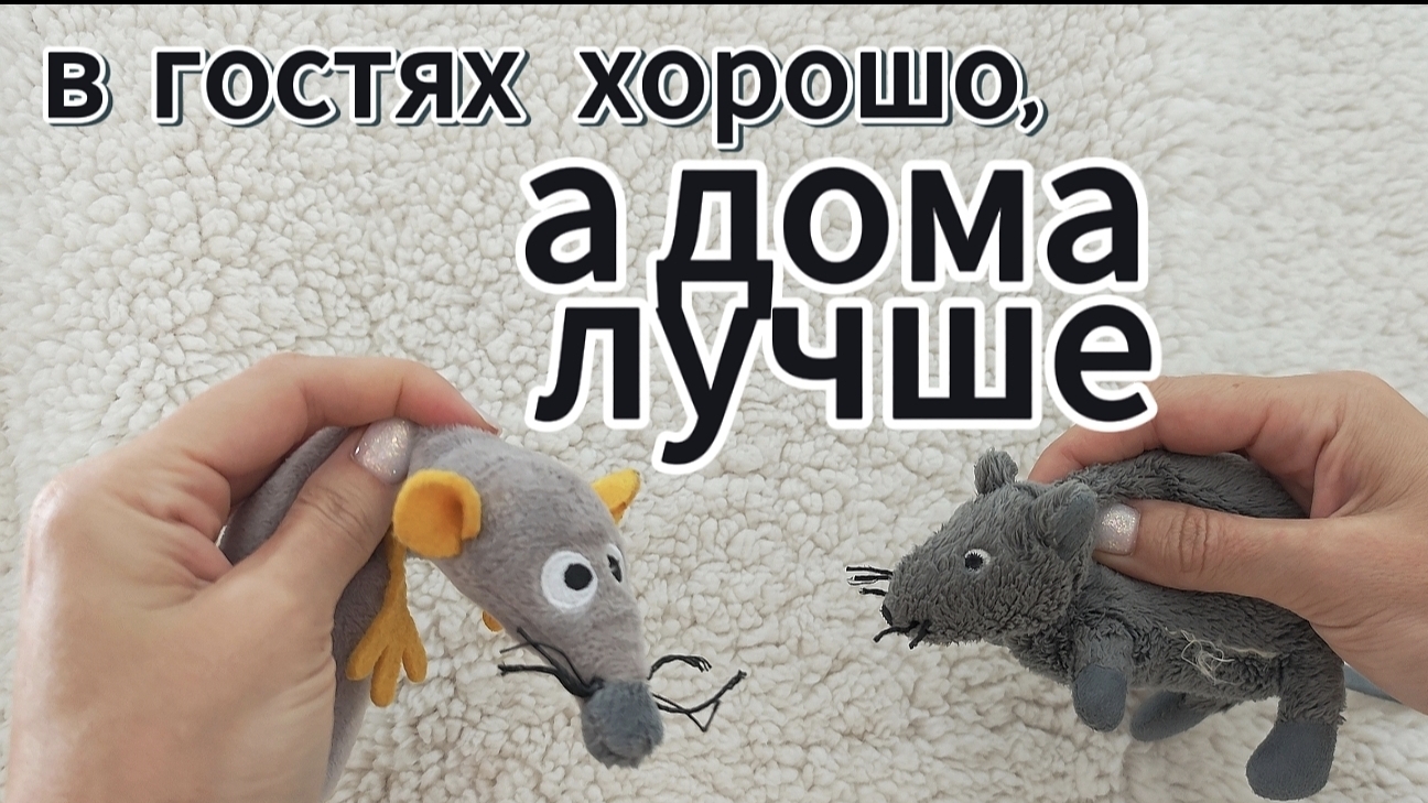 Мультики с игрушками. В гостях хорошо, а дома лучше.mp4