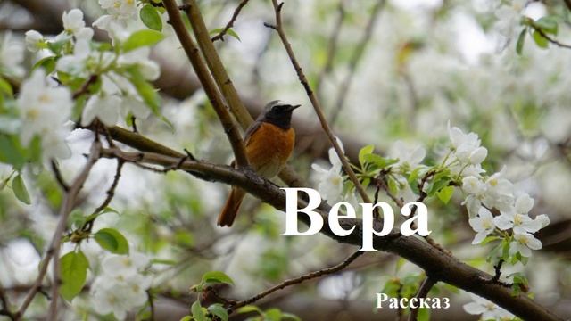 Вера.. (рассказ)