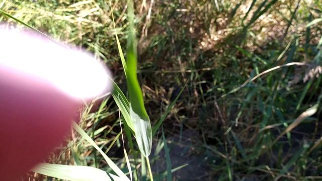 Дикарями на МОРЕ. Солим рыбу. 7 часть.