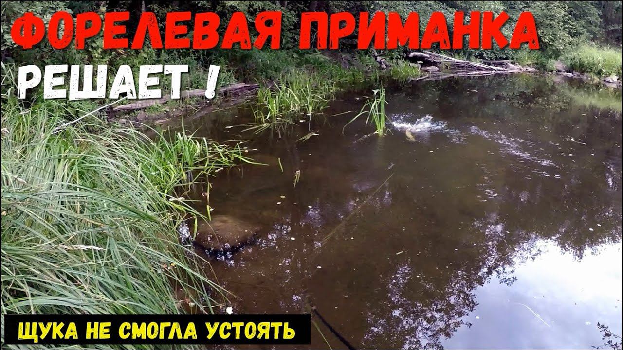 ЩУКА не устояла перед ФОРЕЛЕВОЙ приманкой | Рыбалка на ультралайт | Ловля на микроречке.