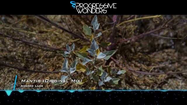 Andrew Lang - Mantis (Original Mix) [Music Video] [Emergent Shores]