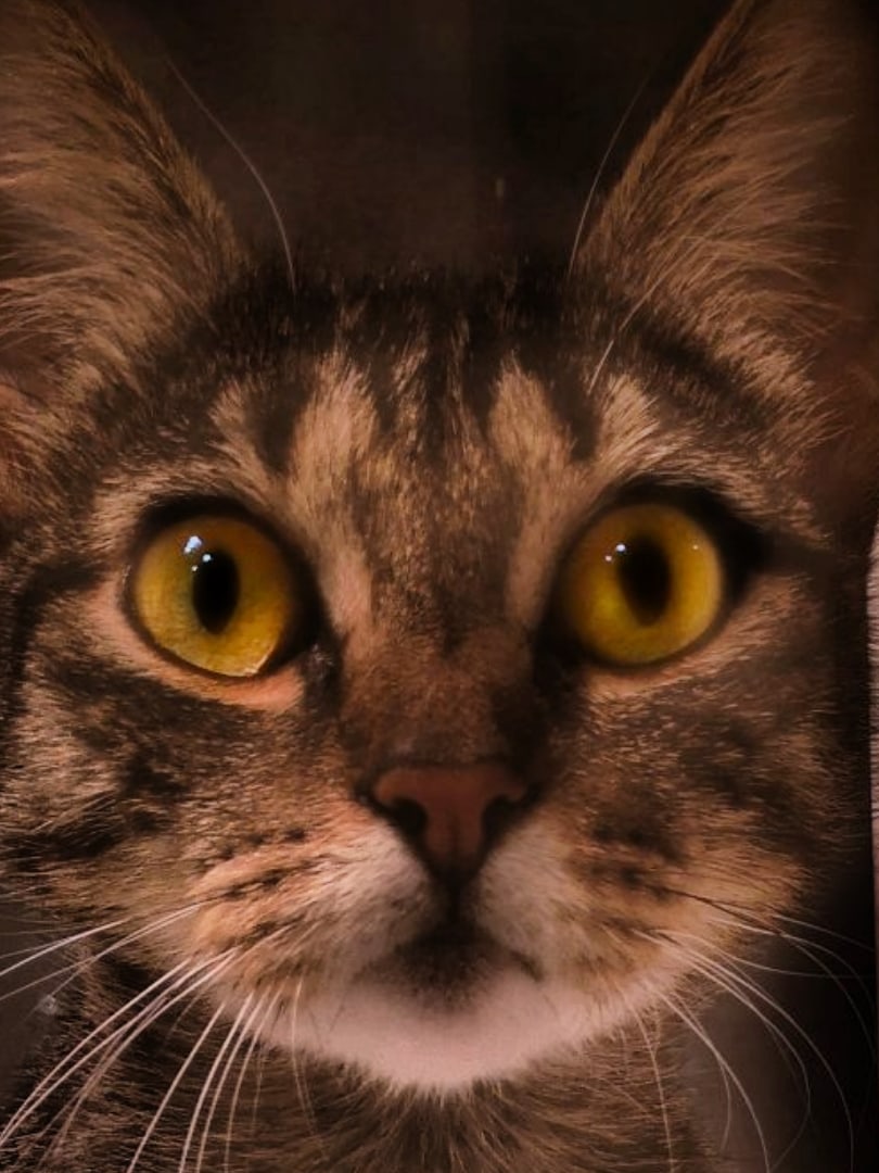 Дорога домой. НУРИ