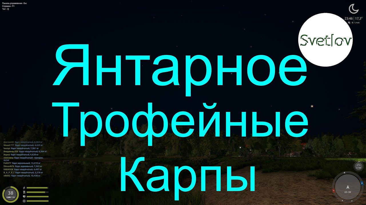 Янтарное озеро Трофейные Карпы