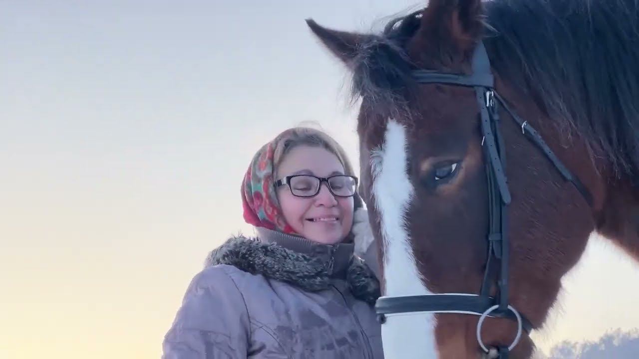 Киноальманах Арктическая Жара