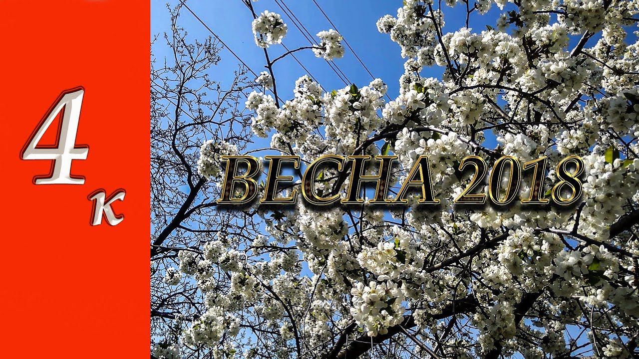Весна 2018