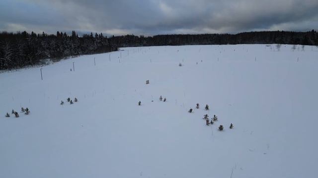 Сканди парк. Зима 2023