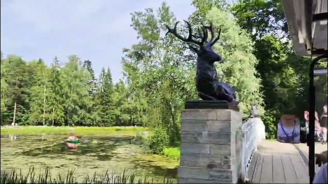 Прогулка по Павловскому парку 2024