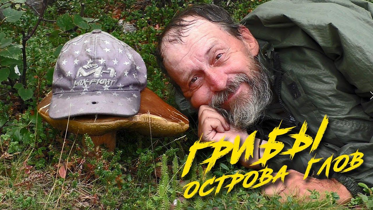 #30 Возвращение на Коргоручей | Грибы острова Глов | Канда - Кукса 2020