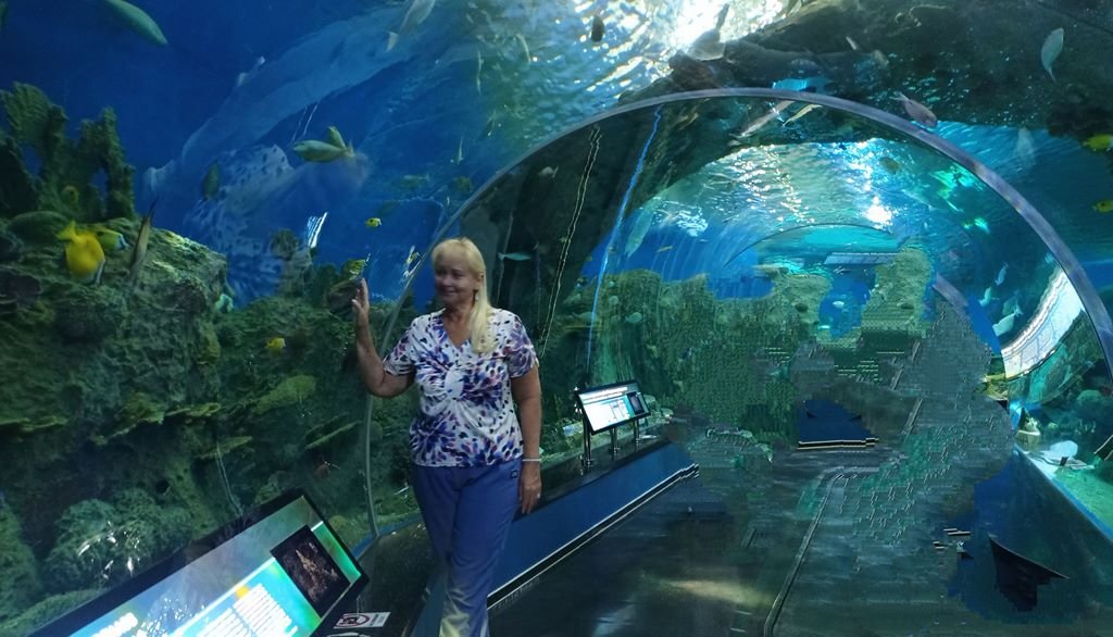 Владивостокский океанариум изнутри, ч 2.