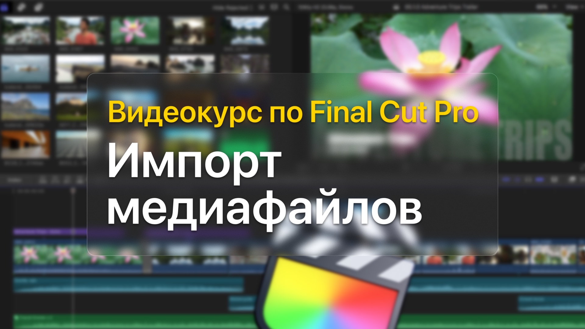 ? Импорт медиафайлов — курс уроков по Final Cut Pro
