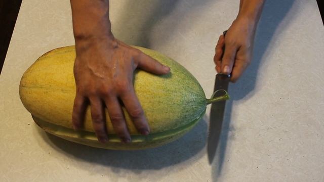 Дыня Мирзачульская в разрезе.