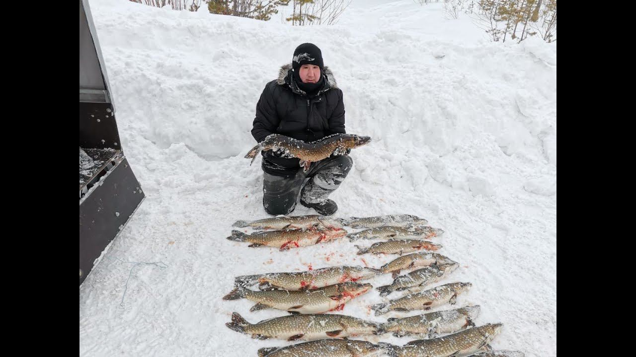 Топ рыбалка на щуку!!! 3Окг за 5ч.