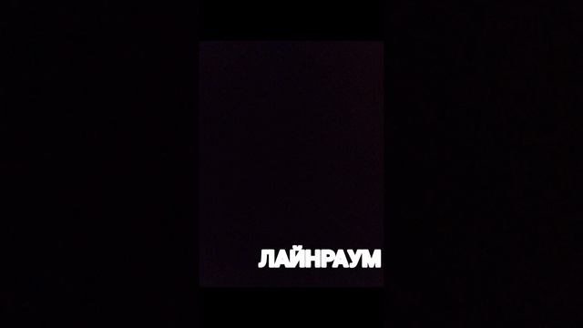ЛАЙНРАУМ (диктофон) ВДАЛИ НАД СКАЛАМИ