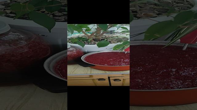 Набрали  4.5 кг малины и сделали немного варенья и вина .