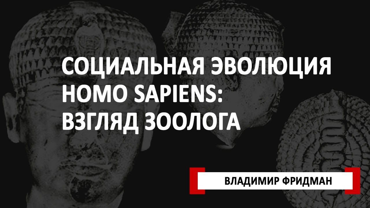 Социальная эволюция Homo sapiens: взгляд зоолога