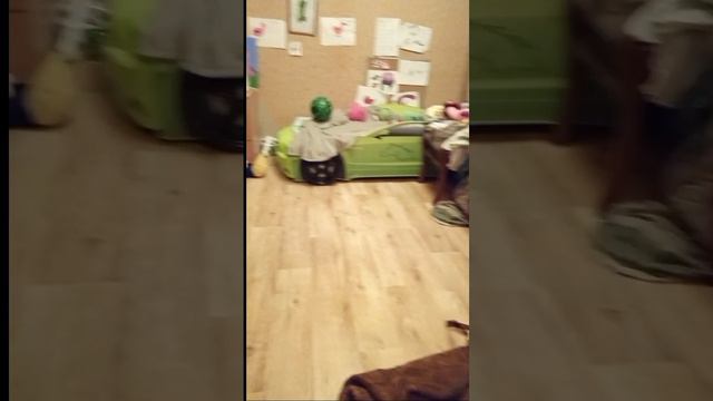 Арбузная доставка 🚚