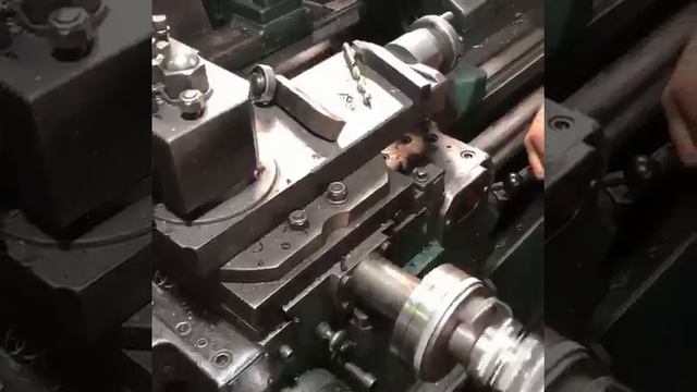 Дмитрий Горкунов