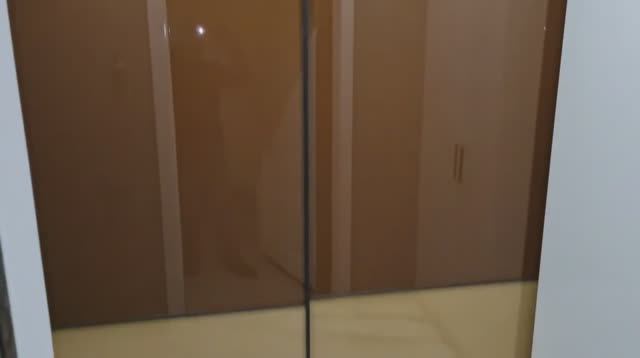 Встроенный шкаф-купе со стеклом Oracal и тонкой ручкой черного цвета, для прихожей комнаты