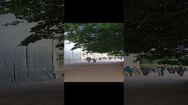 Гатчина , Гатчинский парк