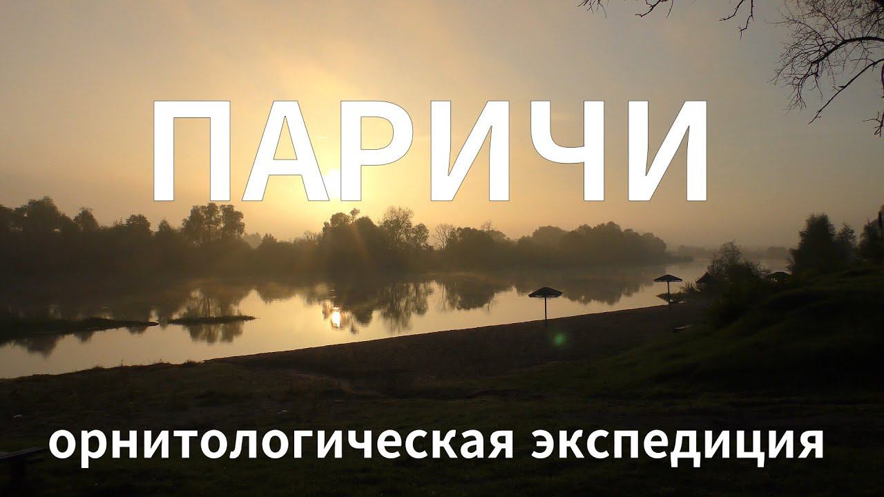 Паричи. Орнитологическая экспедиция