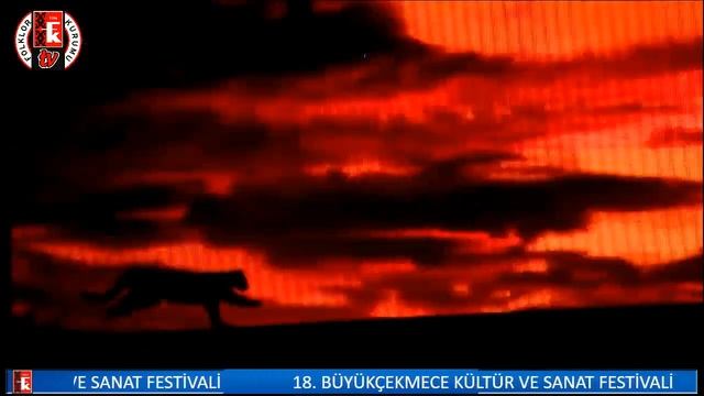 2 августа. 18 - Международный фестиваль культуры и искусства в Бююкчекмедже -2018 г..mp4