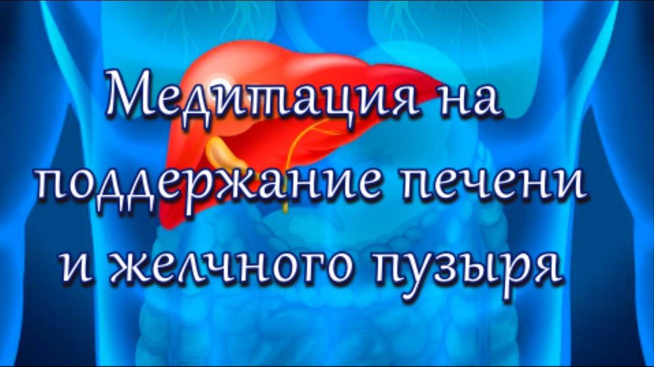 Медитация на поддержание печени и желчного пузыря