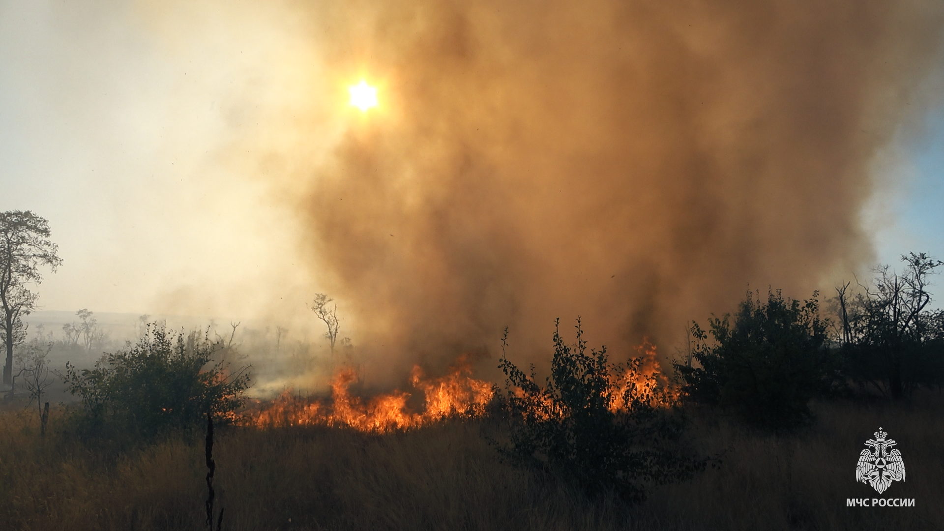 МЧС ПРЕДУПРЕЖДАЕТ: Осторожность с огнем - самый эффективный способ борьбы с лесными пожарами!