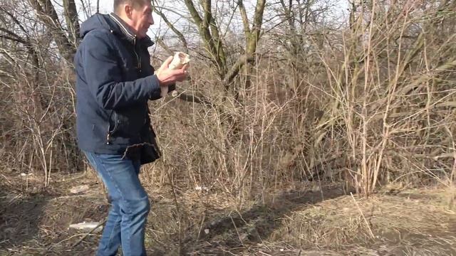 Проект фонда. Помощь братьям нашим меньшим на линии фронта.