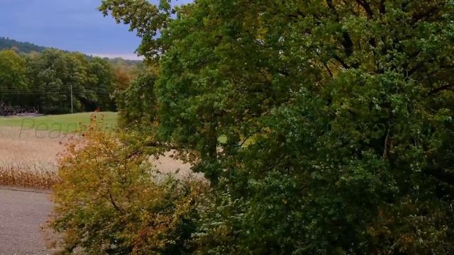 Слушать только в наушниках, или на мощной аппаратуре