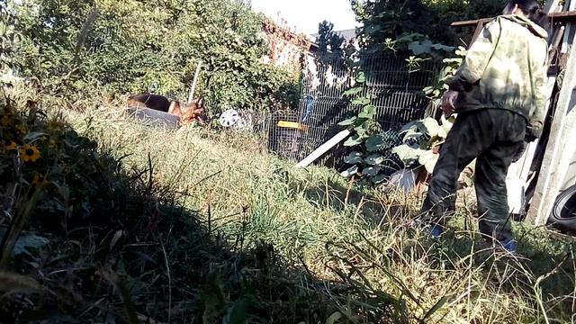 Хедда. Вспоминаем обход объекта, команда "Обойди"