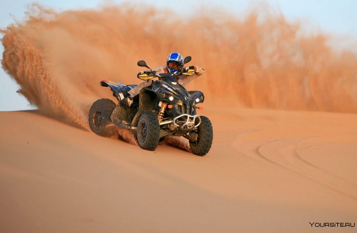 Египет, Сафари в Шарм эль Шейхе 2