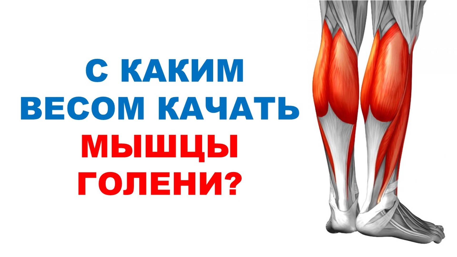 Сколько делать повторений для мышц голени? / Научный эксперимент