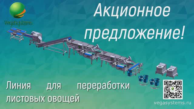 Линия для переработки листовых овощей: салат, капуста, шпинат, петрушка, укроп и другая зелень