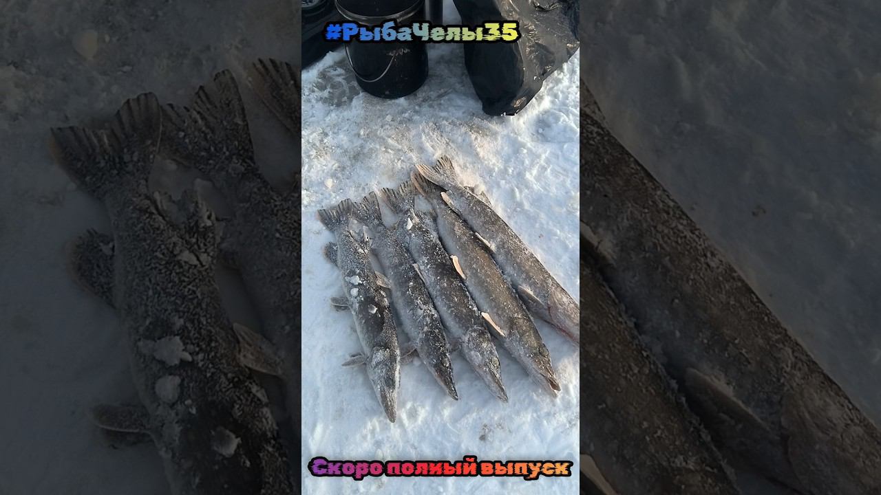 ПЕРВЫЙ ЛЁД 2023-24г!!!ОФИЦИАЛЬНОЕ ОТКРЫТИЕ!!!Скоро полная версия!!!