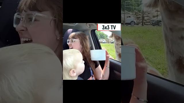 Ку-ку ёп