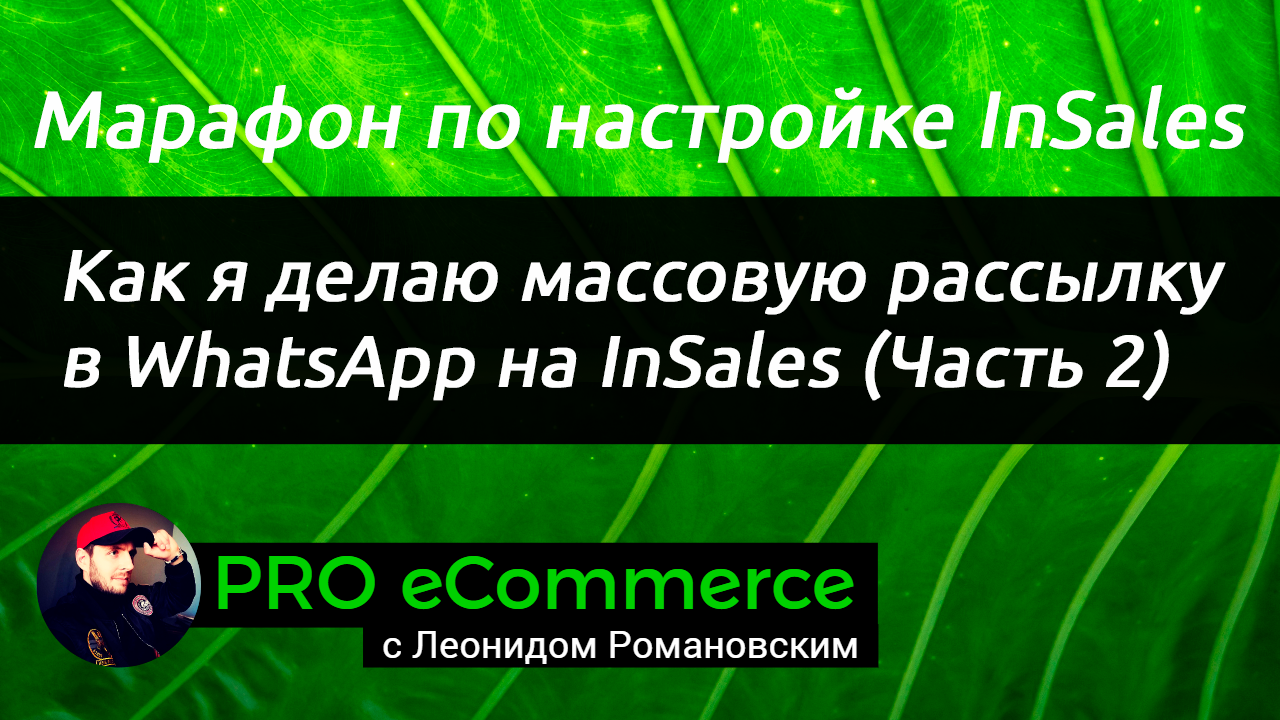Как я делаю массовую рассылку в WhatsApp на InSales (Часть 2)
