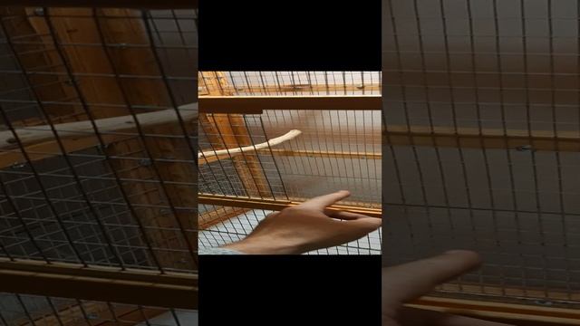 Раздвижные дверцы клетки на фасаде.mp4