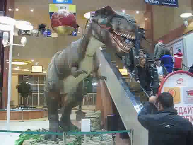 Пойман живой динозавр