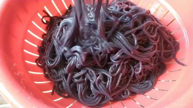 Чёрная рисовая вермишель с кальмарами. (Авторский рецепт)