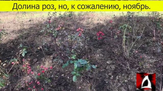 Мини трип Кисловодск. Ноябрь 2021. День 1. mp4