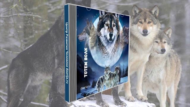ТОТЕМ ВОЛК  (медитативная настройка)