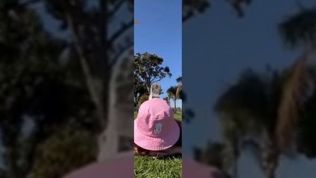 Величавая РЯЗАНЬ