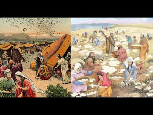 2.15 По страницам Библии - лекции доктора Мак Ги по книге Исход