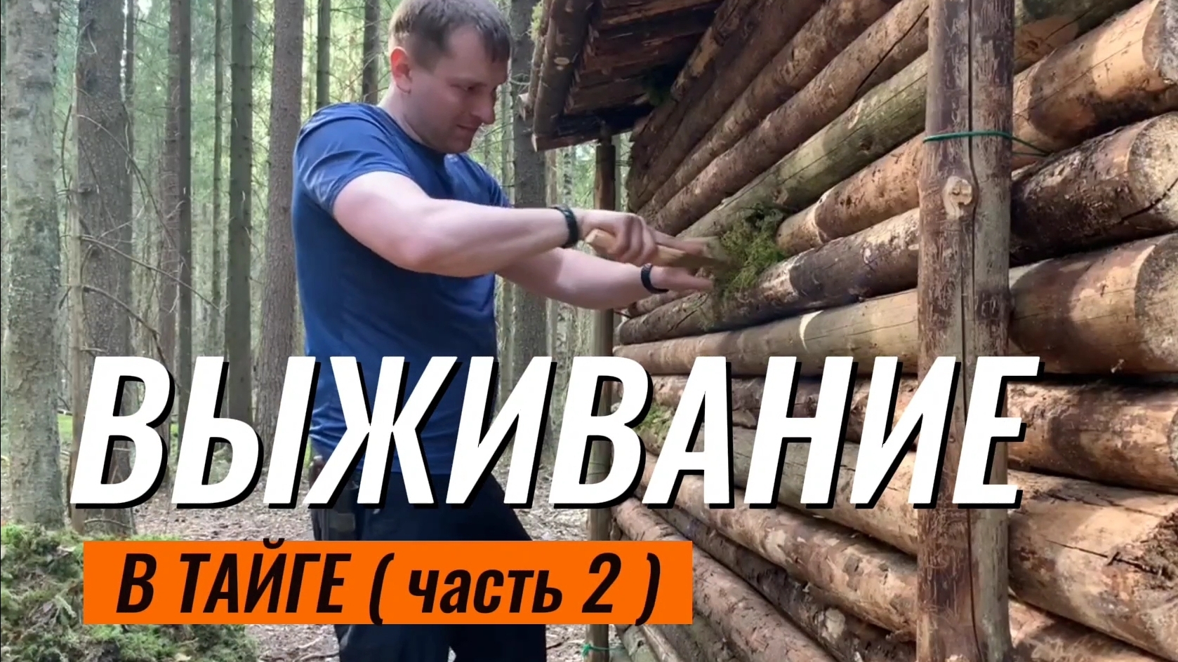 Строительство укрытия в лесу (часть 2)#выживание