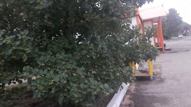 Соль Илецк 2021 год прогулка.